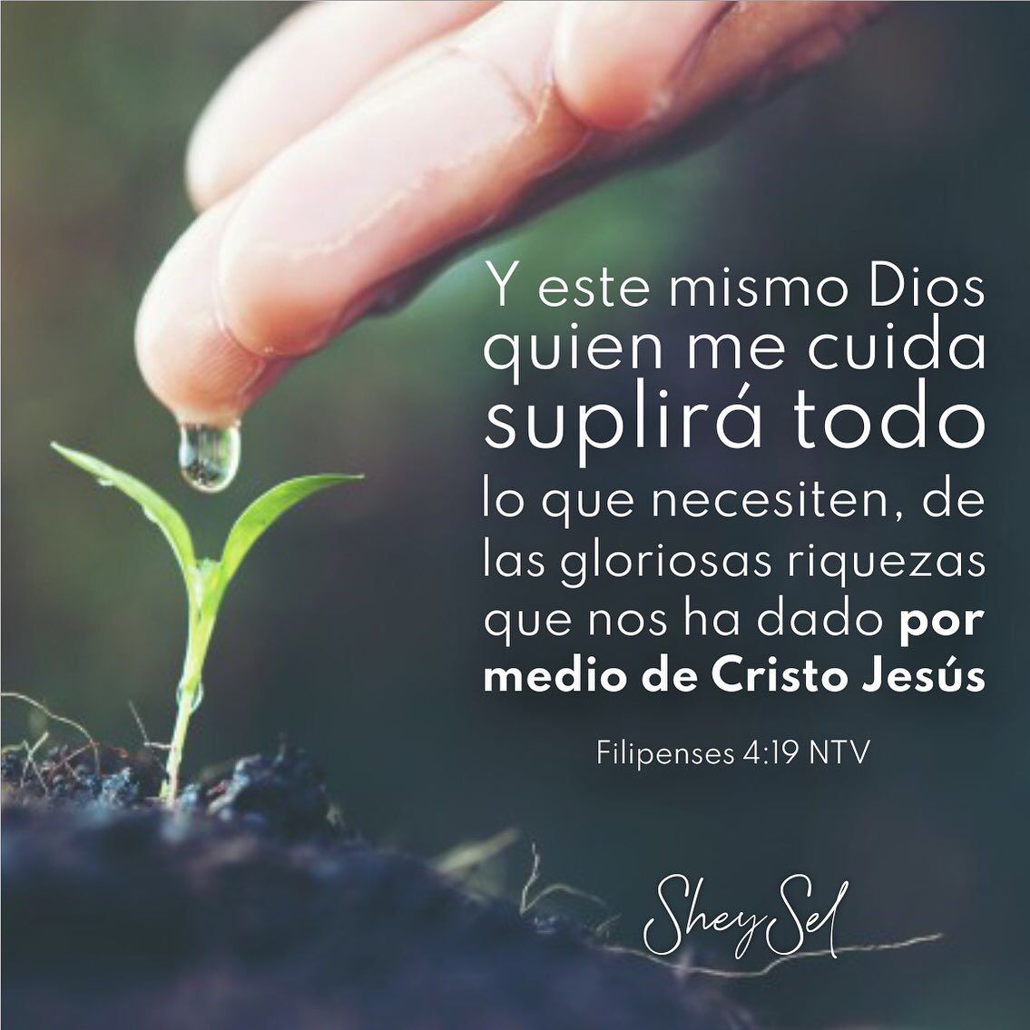 Cómo Enfrentar las Dificultades y los Sufrimientos Según La Biblia ...